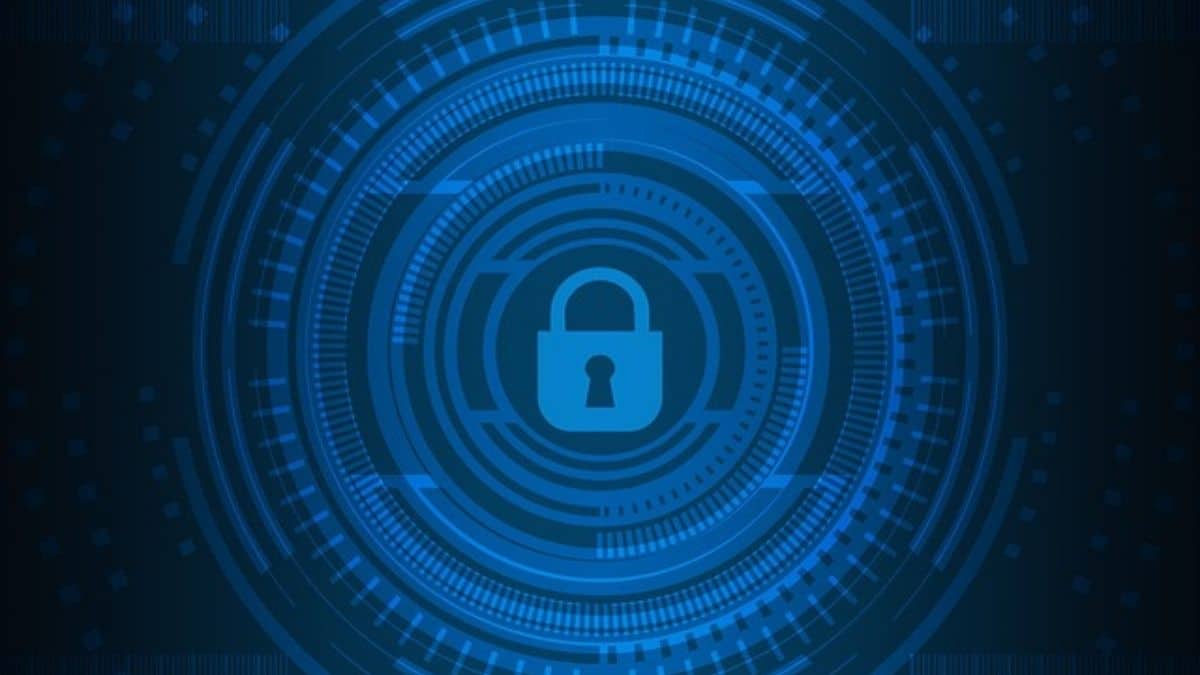 Web Companion Nedir?