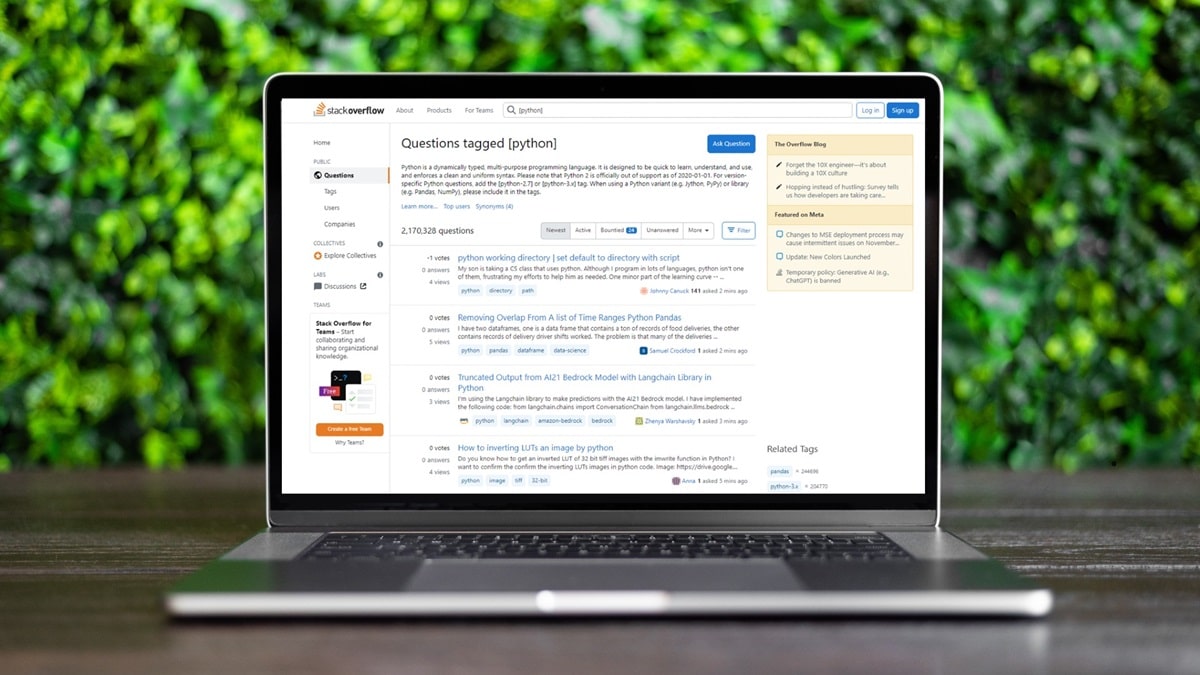 Stack Overflow Nedir? Stack Overflow Nedir?